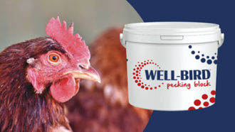 pecking block | poultry peck block | pecking blocks chickens | well bird