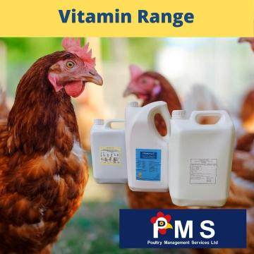 Poultry D3 with Calcium Vitamin poultry management services ltd